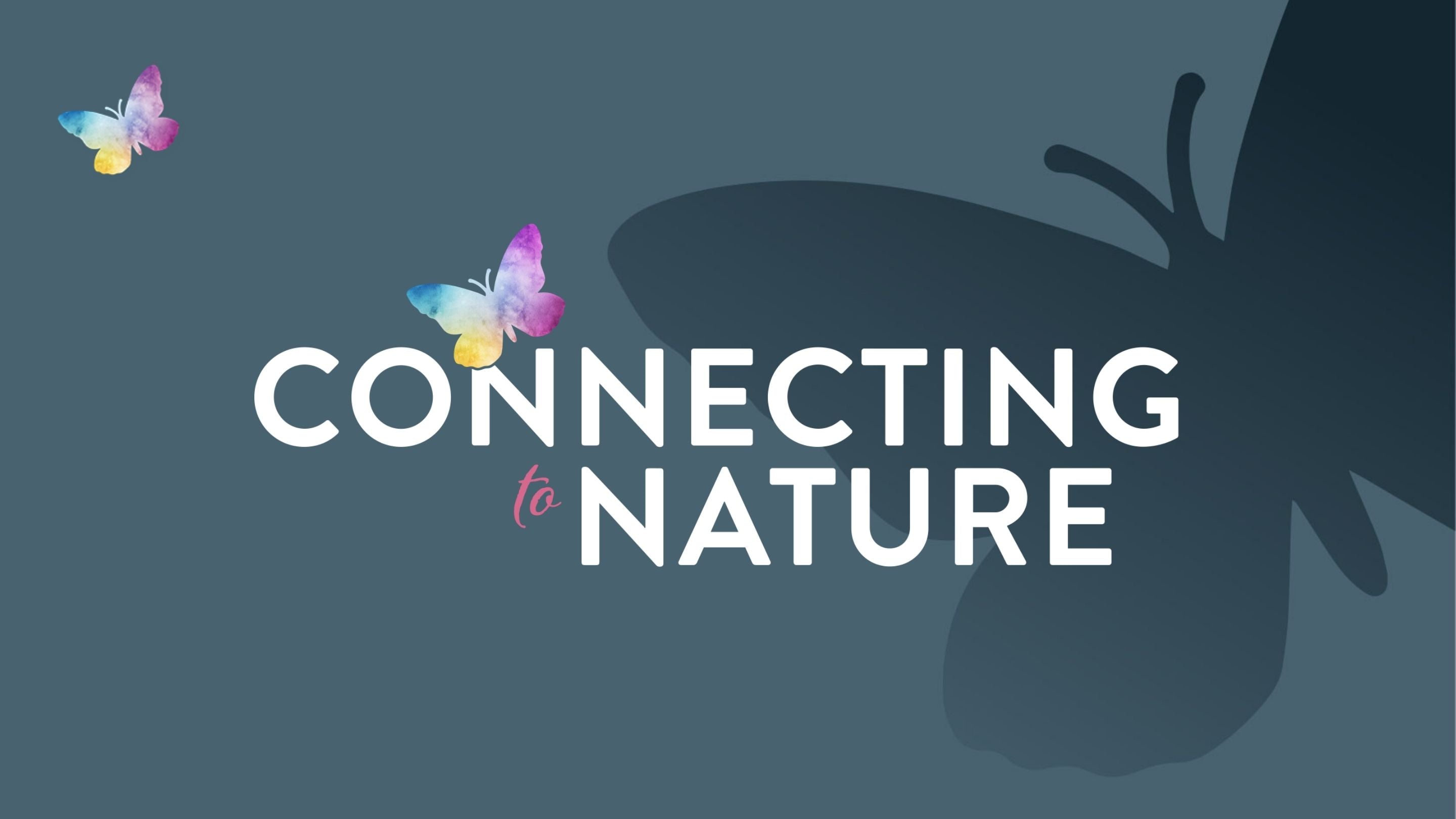 Launching Connecting to Nature