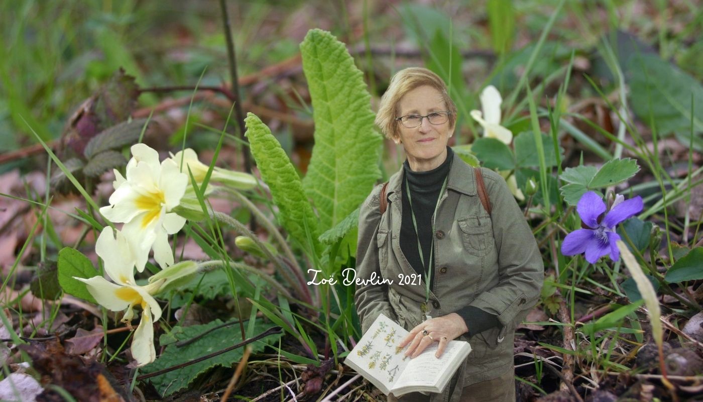 Spring Wildflowers by Zoë Devlin – Connecting to Nature