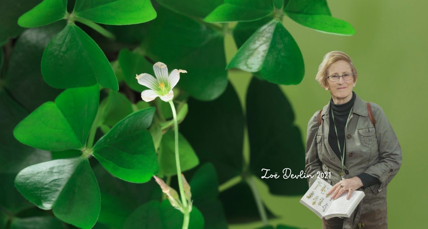 THE WEARING OF THE GREEN by Zoë Devlin – Connecting to Nature