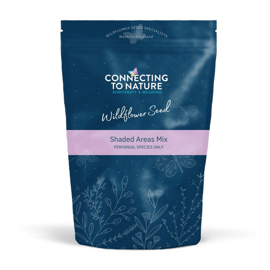 Buy Blooming Native Irish Wildflower Seeds Online | Connecting to Nature
