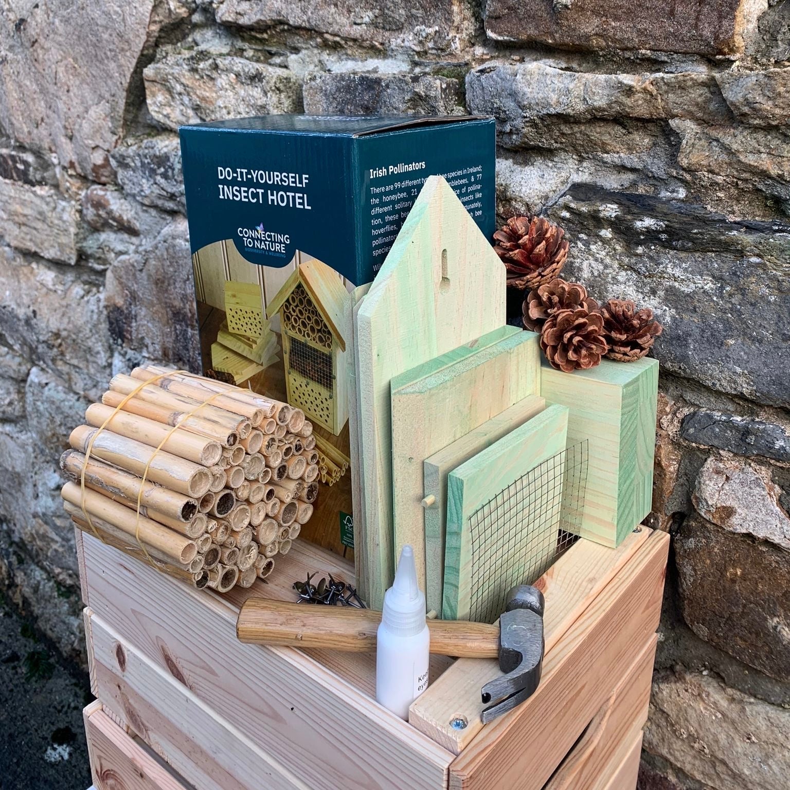 Build your own insect hotel – Connecting to Nature