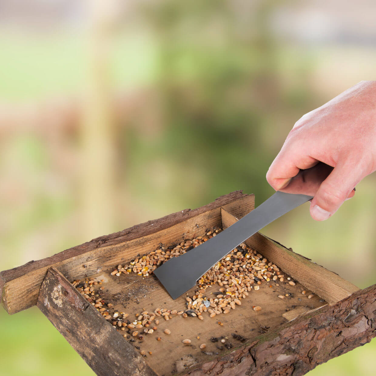 Bird Table Scraper for Cleaning Bird Tables – Connecting to Nature