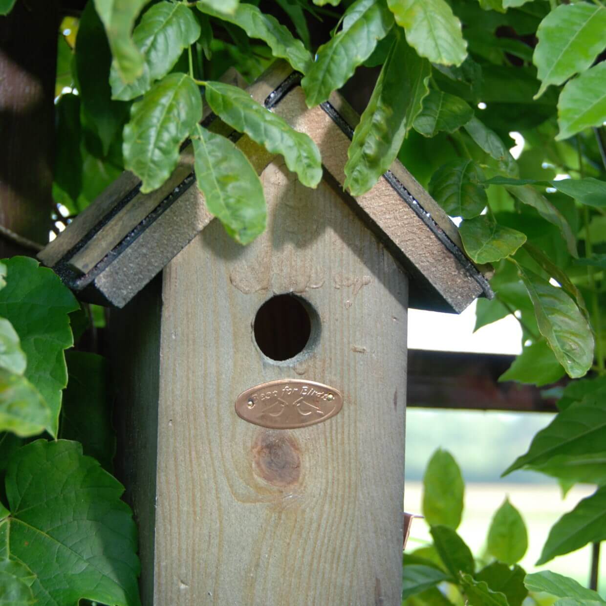 Nest Box for Wrens | Wooden with Bitumen Roof – Connecting to Nature