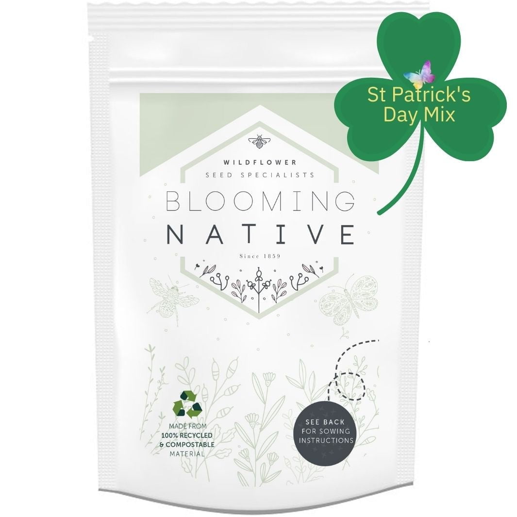 Shamrock Mix | Native Wildflower Seed Mix – Connecting to Nature